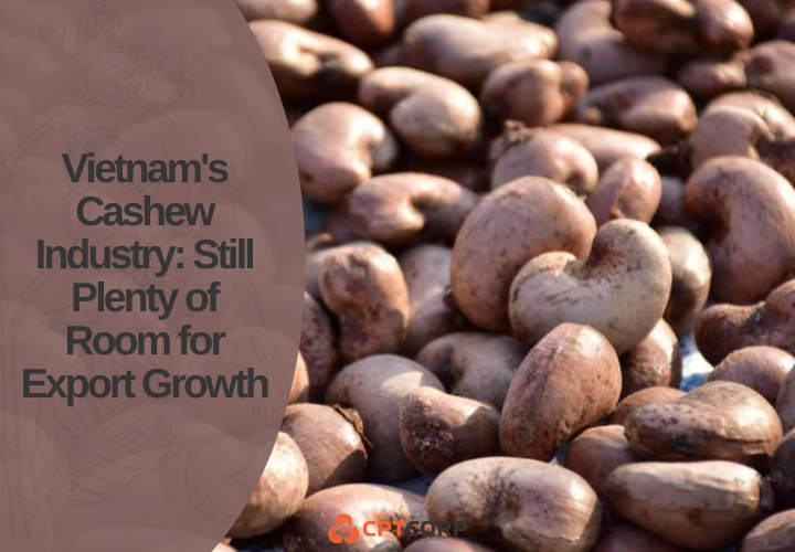 Cashew Market Report April 2024: High Volatility of Raw Cashew Nut and Cashew Kernel Prices ...