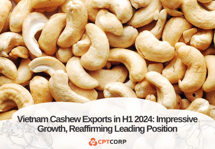 Vietnam Cashew Exports: On the Rise and Expected to Regain Record Highs – CPT CORP – Vietnam ...
