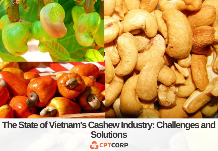 Proposed Solutions for Challenges Facing Vietnam’s Cashew Nut Export Industry – CPT CORP ...